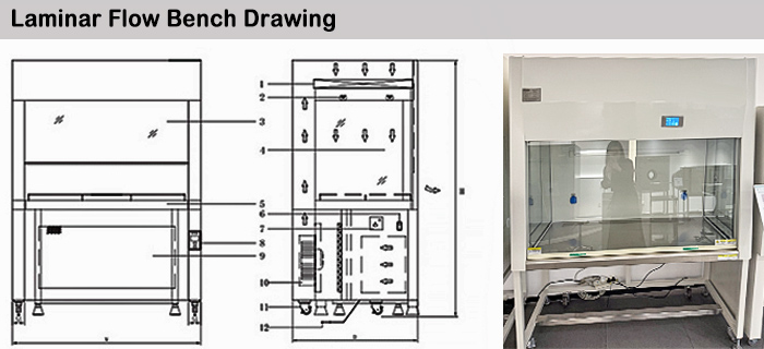 Biological Clean Laminar Flow Bench